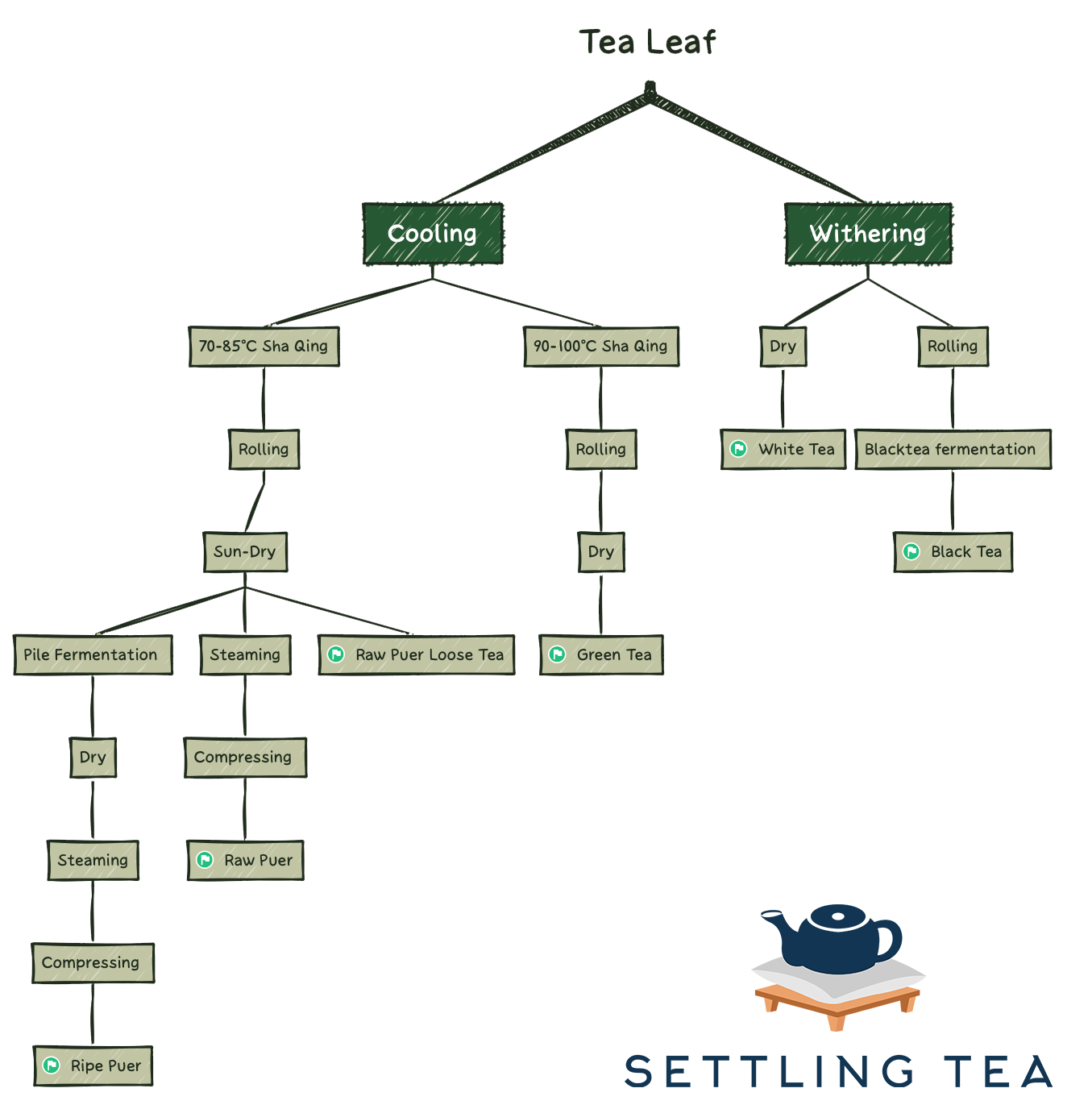Lean More About Chinese Tea | Settling Tea